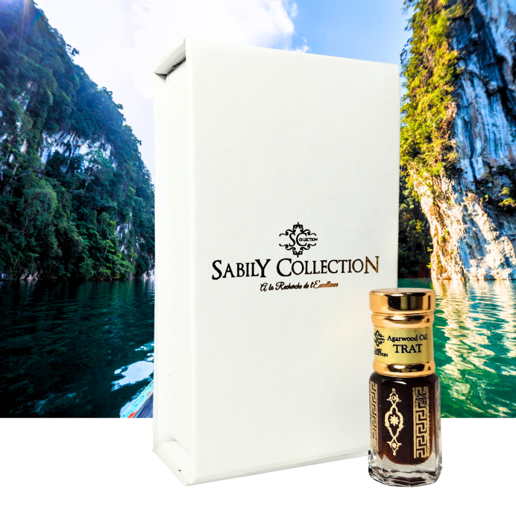 Oud Oil Trat Aged 2019 Pure Agarwood Oil Dehn Al Oud Thailand – Sabily ...