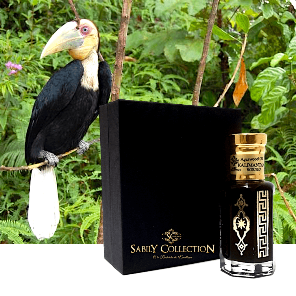 Oud Oil Borneo Kalimantan Aged 2021 (Malaki Grade) Pure Agarwood Oil ...