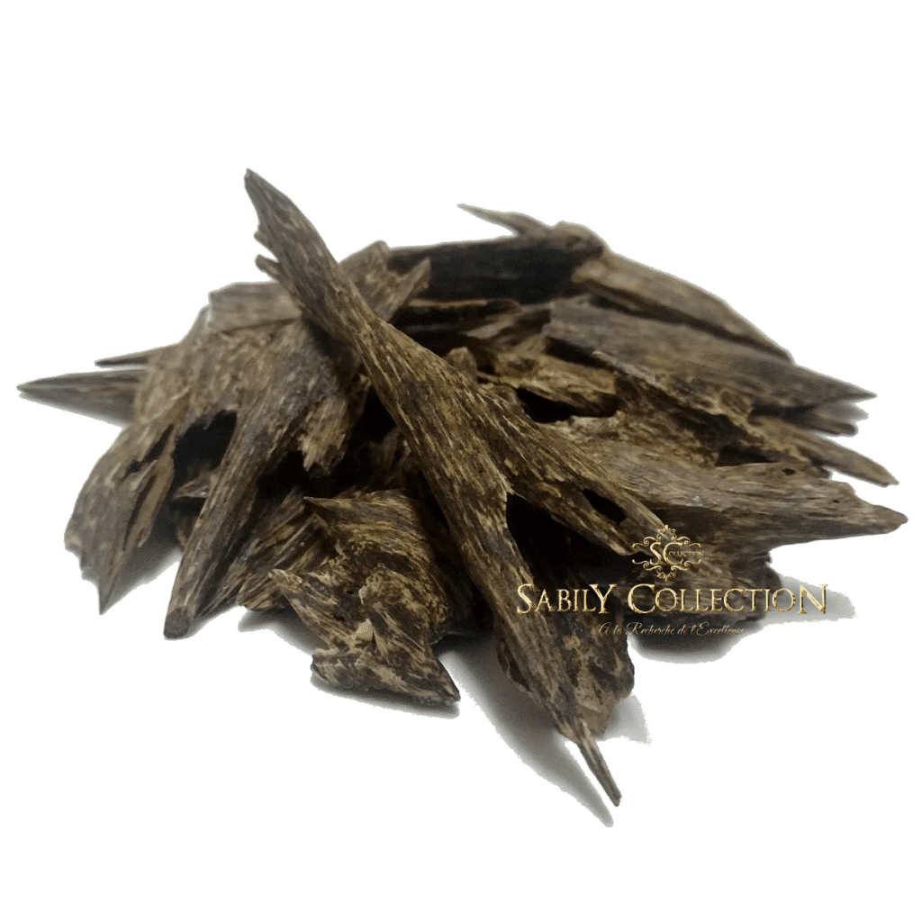 Wild Oud Chips Malaysia Perak Grade Double Super – Sabily Collection Oud