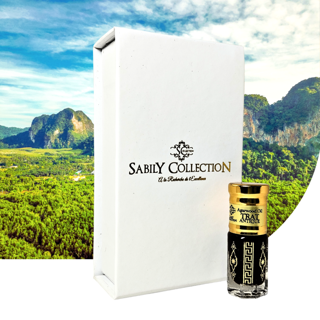 Oud Oil Trat Aged 2019 (Antique Grade) Pure Agarwood Oil Dehn Al Oud ...