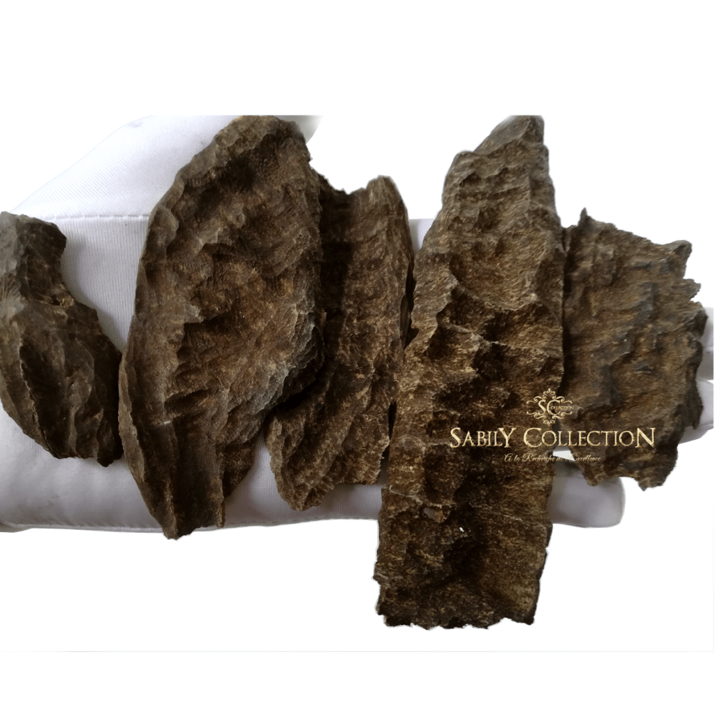 Oud Chips - High Grade And Premium Quality Agarwood Chips