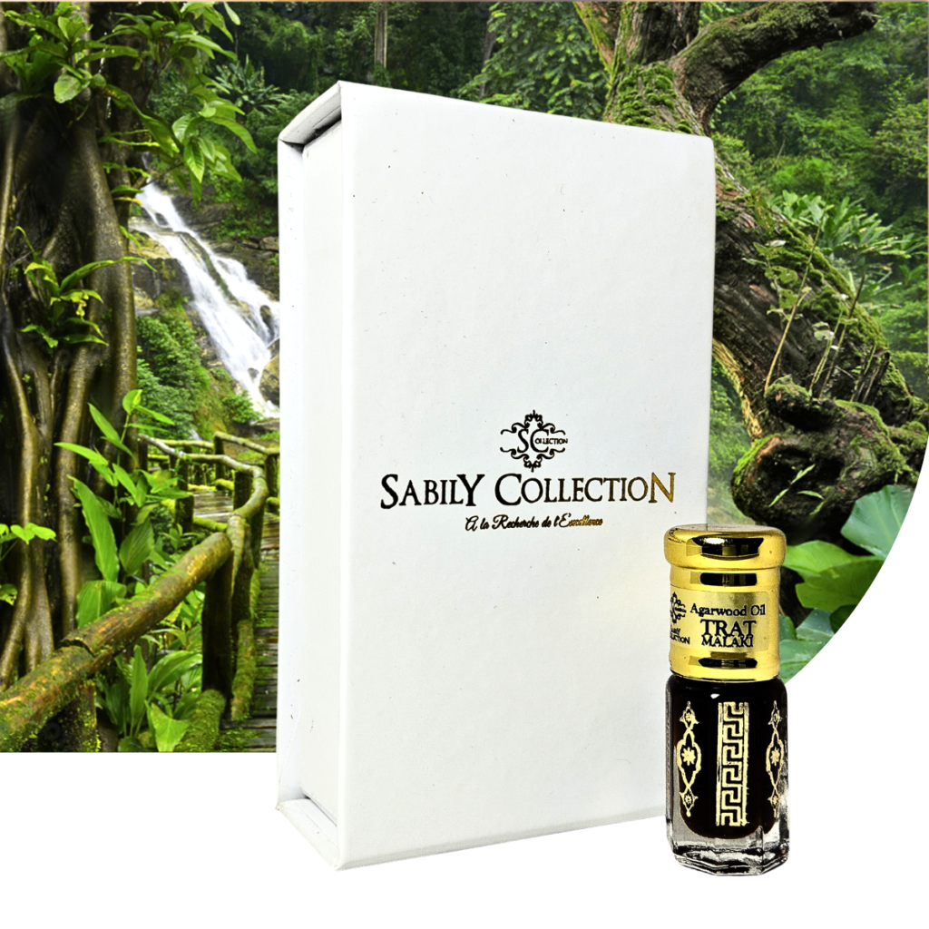 Oud Oil Trat Aged 2020 (Malaki Grade) Pure Agarwood Oil Dehn Al Oud ...