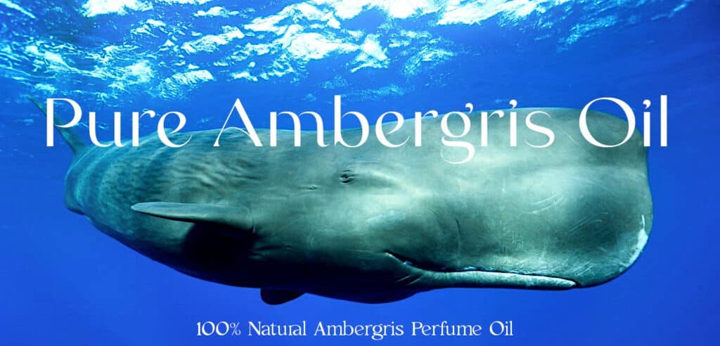Pure Ambergris Perfume Oil Private Blend 100% Natural (Sperm Whale ...